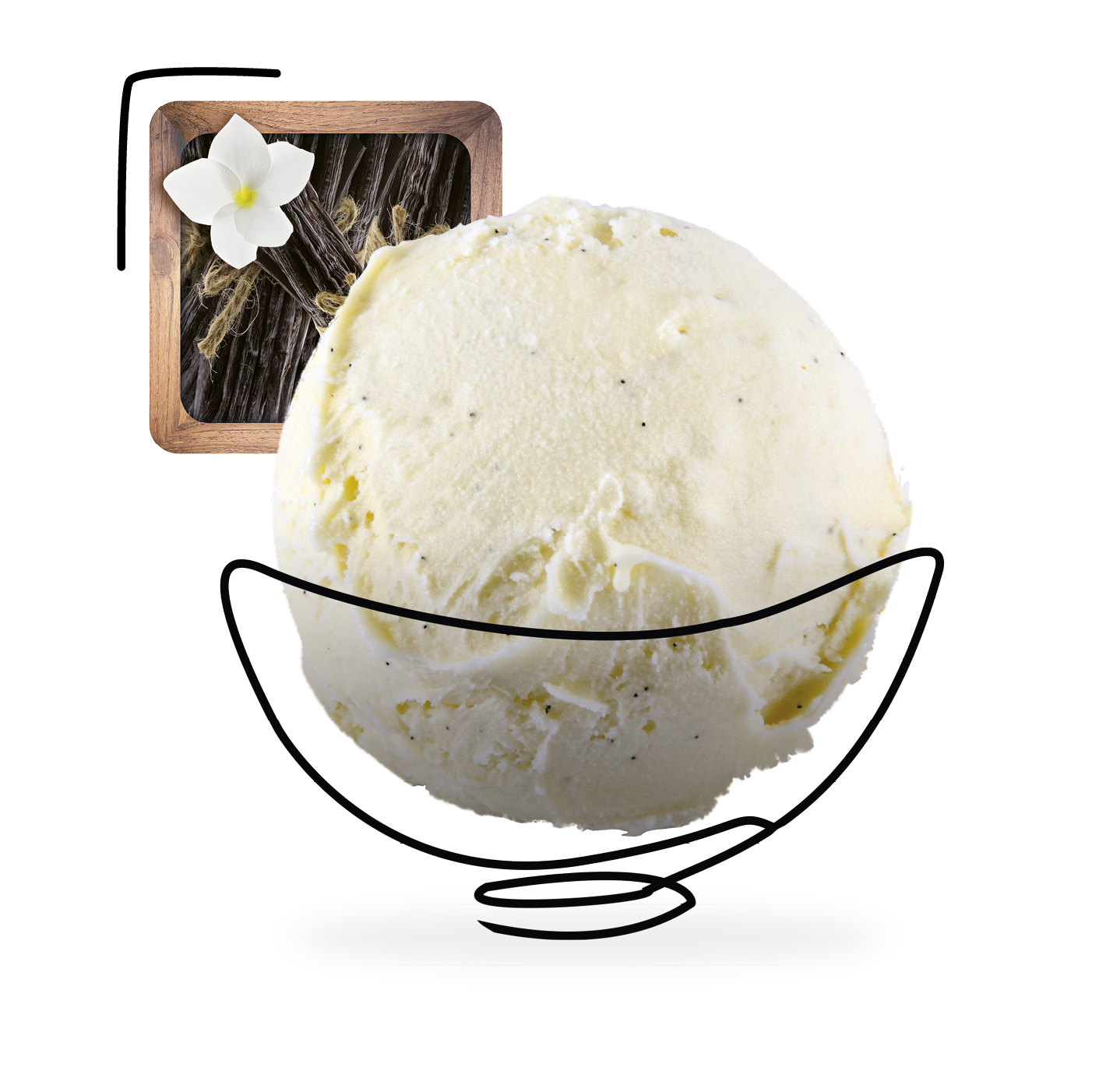 Vanille - Glaces des Alpes - Maitre Artisan Glacier