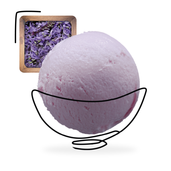 Violette - Glaces des Alpes - Maitre Artisan Glacier